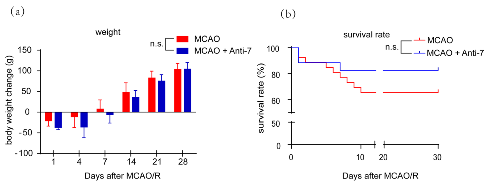 Post Stroke Treatment With Microrna 7 Inhibitor Protects Against Long